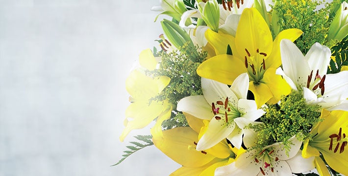 Flower and Plant Gifts and Decorations | Harry & David