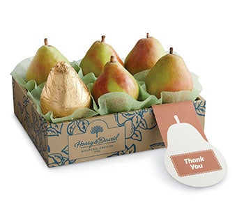 Thank You Gifts | Thank You Gift Baskets Delivery | Harry & David