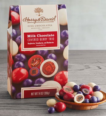 Chocolate Delivery & Chocolate Gift Baskets | Harry & David