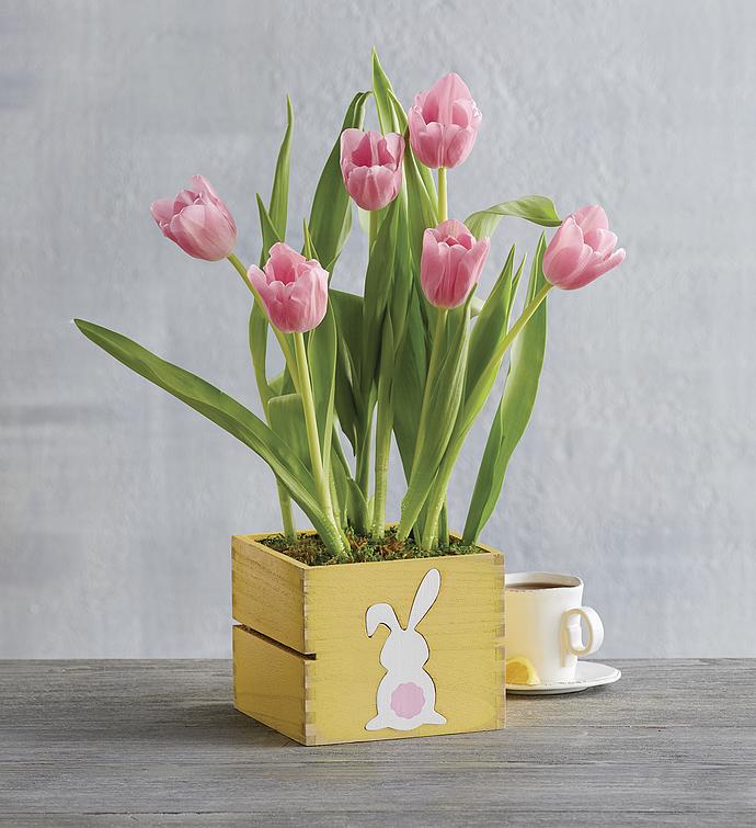 Easter Gifts & Easter Gift Baskets | Easter Delivery Gifts | Harry & David